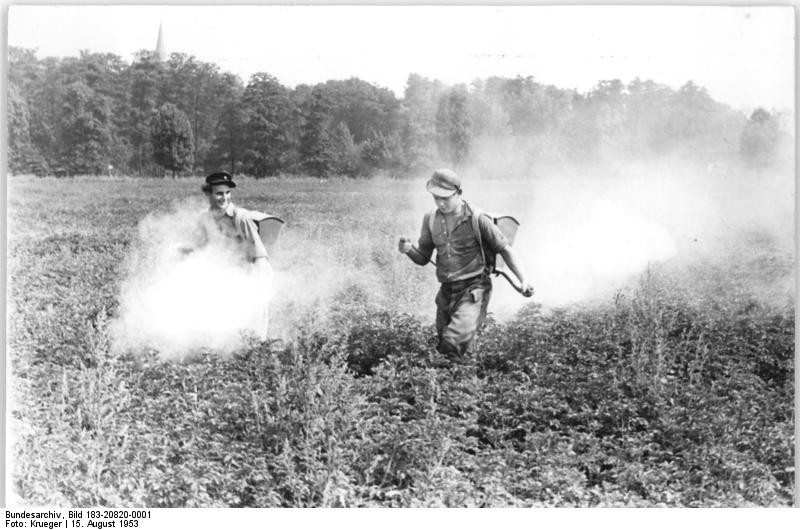 The Cautionary Tale of DDT – Biomagnification, Bioaccumulation, and ...