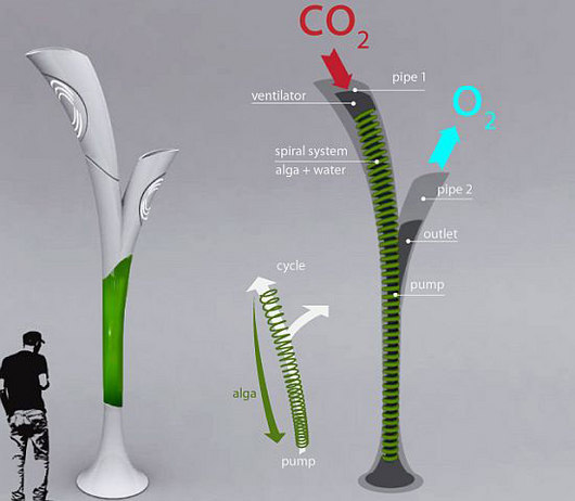 Sustainable Lamps Powered by Algae – Sustainable Nano Blog – UW–Madison