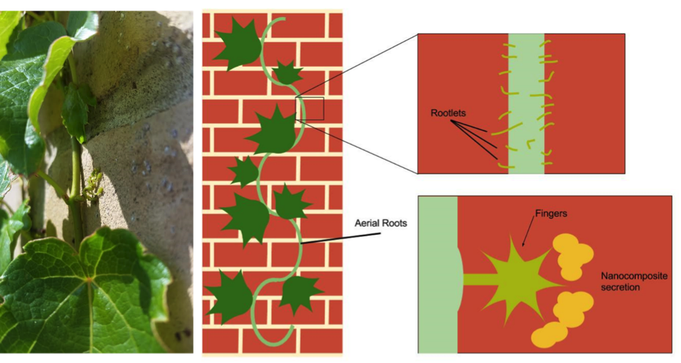 Ivy League Nanoparticles – Sustainable Nano Blog – UW–Madison