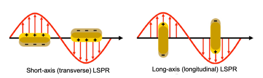 What gives gold nanoparticles their color? – Sustainable Nano Blog – UW ...
