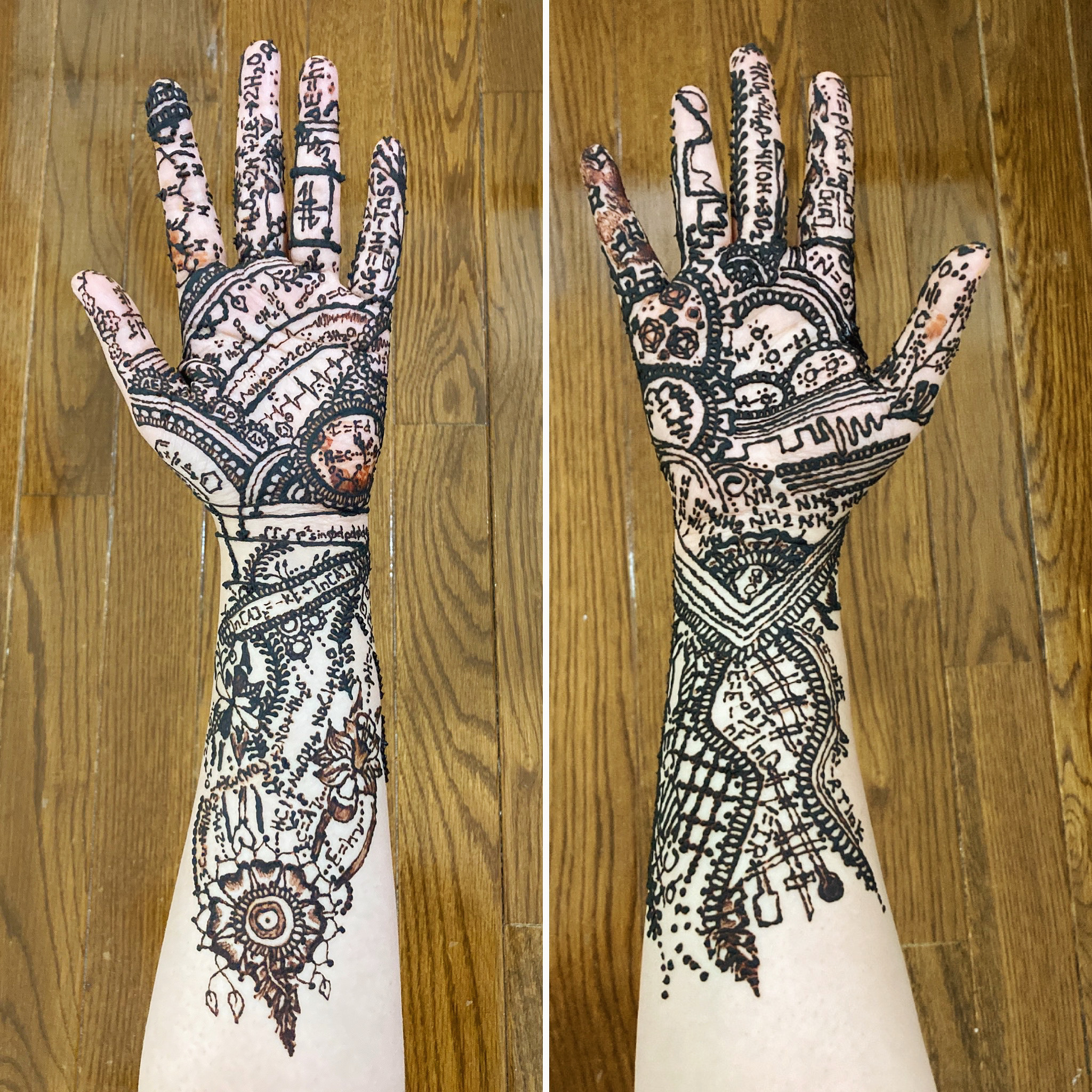Science Henna: Sharing stories through my hands – Sustainable Nano Blog ...